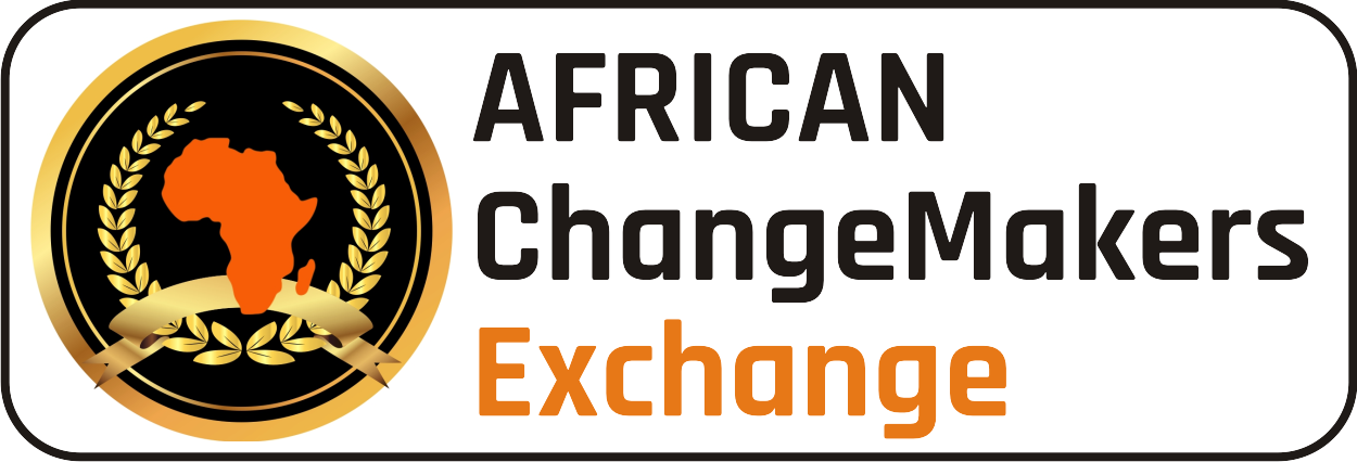 Programs - African ChangeMakers Initiative (ACi)